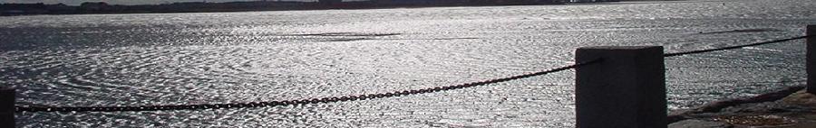 Dr. Deyang Qu’s Research Group